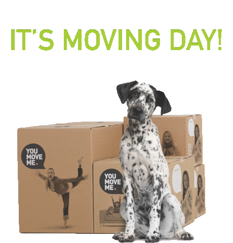 Moving Kansas City Sticker by You Move Me for iOS & Android | GIPHY