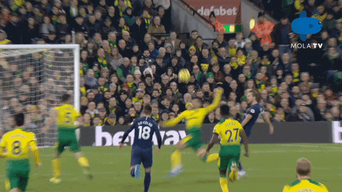 Norwichcity GIF by MolaTV - Find & Share on GIPHY