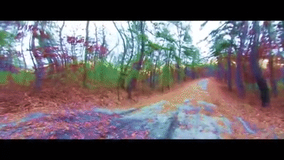 Lsd GIF - Find & Share on GIPHY