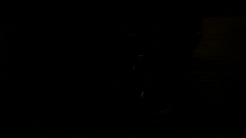 Blank GIF by Priya - Find & Share on GIPHY