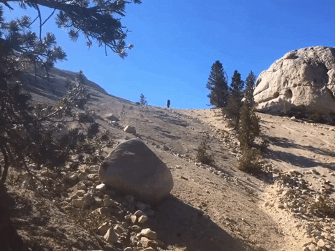 Backpacking GIF by Justin - Find & Share on GIPHY