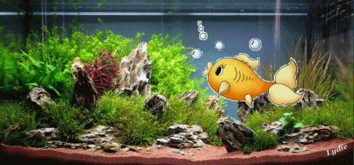 Wallpaper Aquarium Format Gif