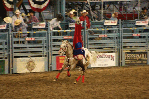 Rodeo GIF - Find & Share on GIPHY