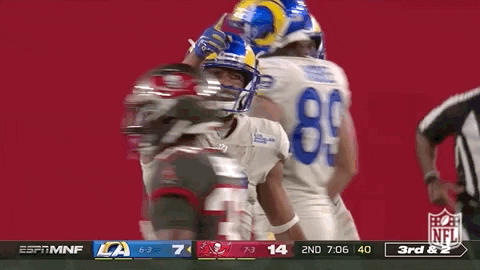 Los Angeles Rams Football GIF by NFL - Find & Share on GIPHY