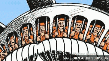 Human Rights GIF - Find & Share on GIPHY