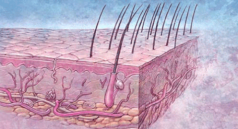 Skin GIFs - Find & Share on GIPHY