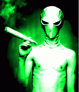 Green GIF - Find & Share on GIPHY