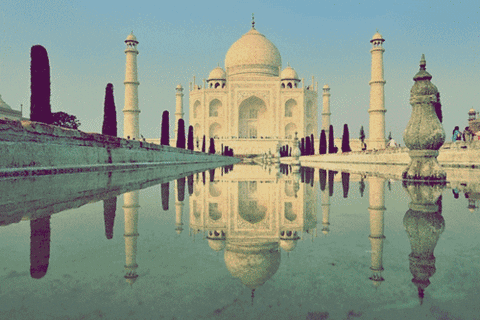 India GIF - Find & Share on GIPHY