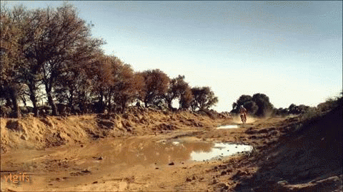 Mud GIF - Find & Share on GIPHY