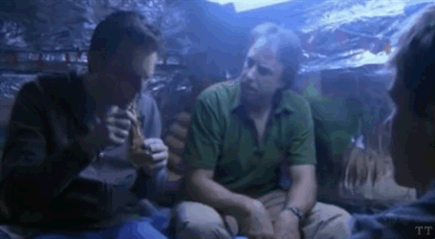 Weeds GIFs - Find & Share on GIPHY