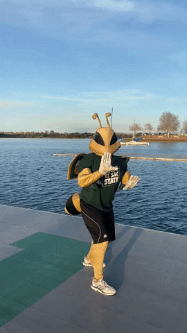 Sacramento State Aquatic Center GIF - Find & Share on GIPHY