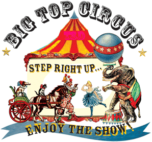 Circus GIF - Find & Share on GIPHY