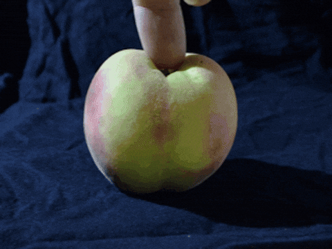 Crush Flatten GIF - Find & Share on GIPHY
