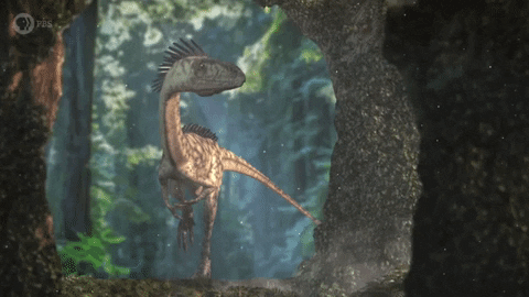 Dinosaur Eons GIF by PBS Digital Studios - Find & Share on GIPHY