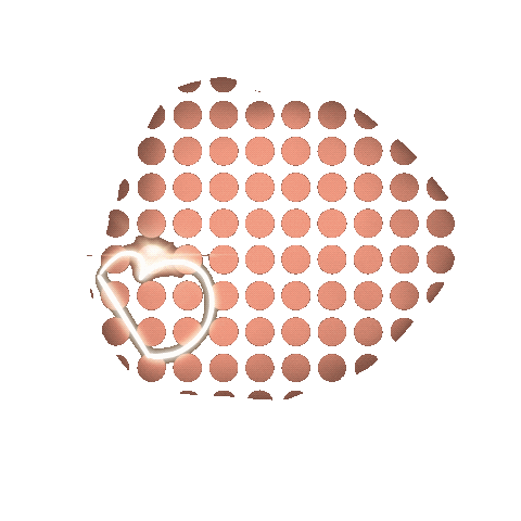 Brillo Sticker for iOS & Android | GIPHY