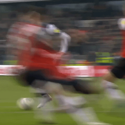 Connor Mahoney Yes GIF by MillwallFC - Find & Share on GIPHY