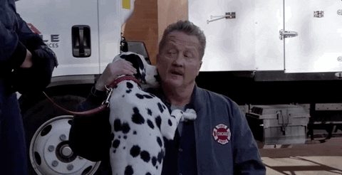 Chicago Fire Dog GIF by Wolf Entertainment - Find & Share on GIPHY