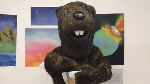 Raffle GIF by Welcome to the BVR Dam - Find & Share on GIPHY