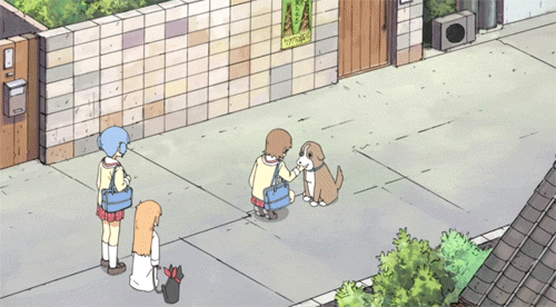 Dog Explosion GIF - Find & Share on GIPHY