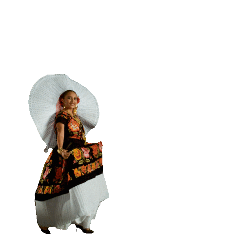 Oaxaca Guelaguetza Sticker by EMTI for iOS & Android | GIPHY