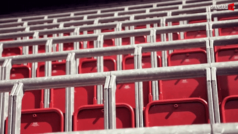 Stadium Seats GIF by Standard de Liège - Find & Share on GIPHY
