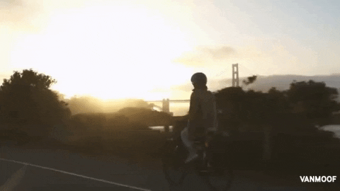Bike Sunset GIF by vanmoof - Find & Share on GIPHY