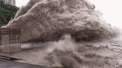 Hot Dam GIF by Digg - Find & Share on GIPHY