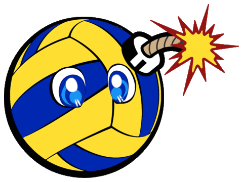 Ball Volleyball Sticker by Problemi di Volley for iOS & Android | GIPHY