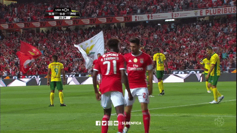 Sl Benfica Hug GIF by Sport Lisboa e Benfica - Find & Share on GIPHY