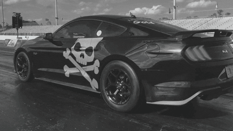 Racing Mustang GIF by TeamLethal - Find & Share on GIPHY