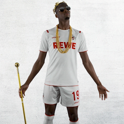 1 Fc Cologne Sport GIF by 1. FC Köln - Find & Share on GIPHY