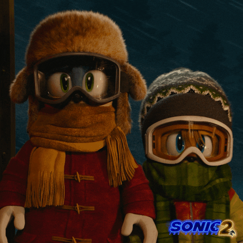 Paramount Pictures Winter GIF by Sonic The Hedgehog - Find & Share on GIPHY