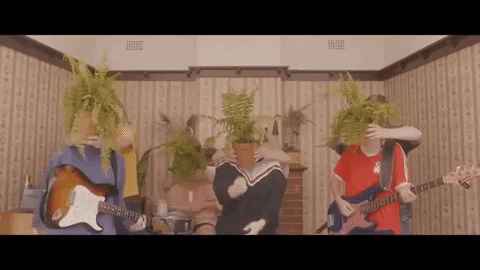 Live Music Dancing GIF by Polyvinyl Records - Find & Share on GIPHY