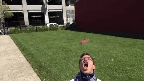 Catching GIF - Find & Share on GIPHY