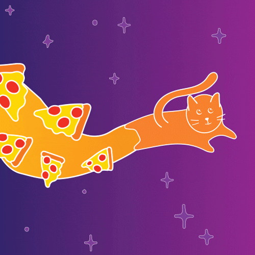 Pizza Cat GIF - Find & Share on GIPHY