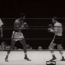 Boxing GIF - Find & Share on GIPHY