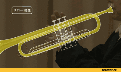 Sound GIF - Find & Share on GIPHY