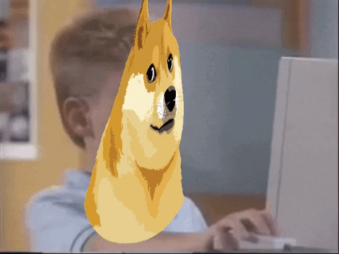 When you check your doge and it’s blasting : r/dogecoin