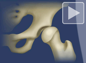 Hip GIFs - Find & Share on GIPHY