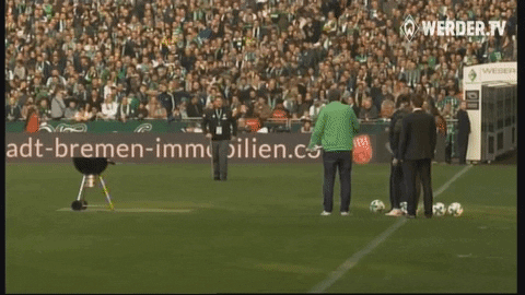 Animated GIF - Find & Share on GIPHY