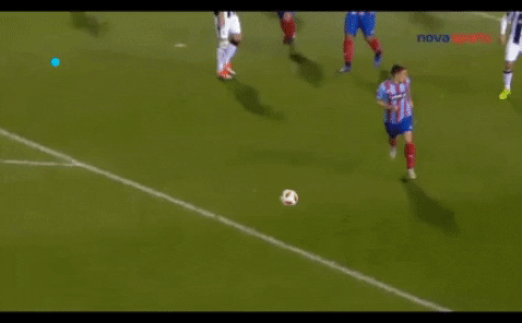 Football Paokfamily GIF by PAOK FC - Find & Share on GIPHY