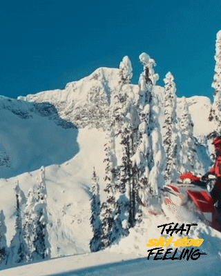Winter Donut GIF by Ski-Doo - Find & Share on GIPHY