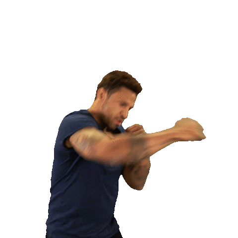 Fight Fighting Sticker by ProSiebenSat.1 for iOS & Android | GIPHY