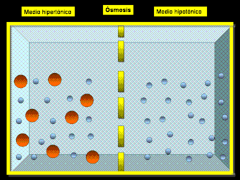 Equilibrium GIF - Find & Share on GIPHY