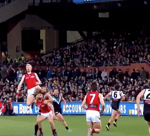 Essendon GIFs - Get the best GIF on GIPHY