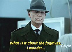 Fringe Observer Memes