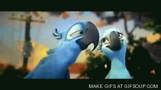 Rio GIF - Find & Share on GIPHY