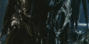 Alien Vs Predator Horror GIF - Find & Share on GIPHY