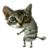 Transparent GIF Sticker - Find & Share on GIPHY
