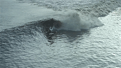 Surf Dude GIF by Digg - Find & Share on GIPHY